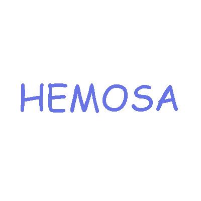 黑沙/Hemosa - 黑沙/Hemosa公司 - 黑沙/Hemosa竞品公司信息 - 爱企查