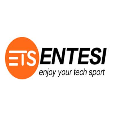 ENTESI - ENTESI公司 - ENTESI竞品公司信息 - 爱企查