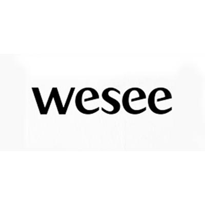 WESEE - WESEE公司 - WESEE竞品公司信息 - 爱企查