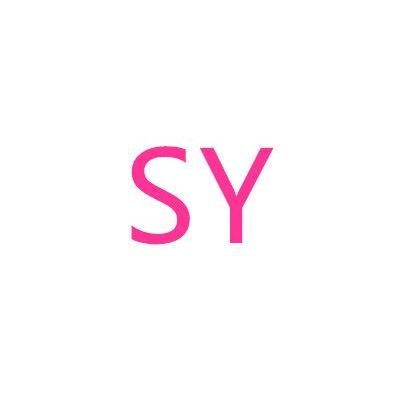 SY - SY公司 - SY竞品公司信息 - 爱企查