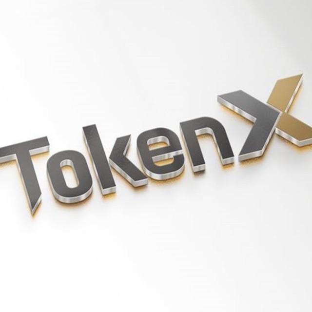 TokenX.Group - TokenX.Group公司 - TokenX.Group竞品公司信息 - 爱企查