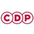 CDP集团 - CDP集团公司 - CDP集团竞品公司信息 - 爱企查