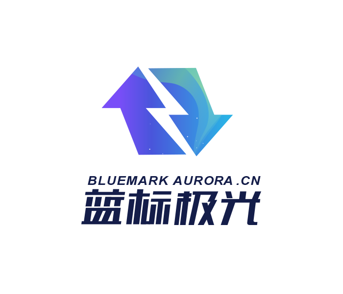 北京蓝标极光信息科技有限公司 - 爱企查