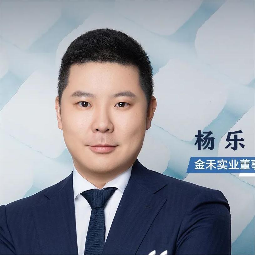 杨乐 - 安徽金禾实业股份有限公司 - 法定代表人/高管/股东 - 爱企查
