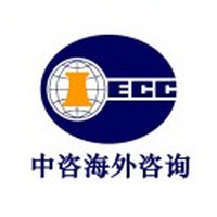 中咨海外咨询有限公司 - 爱企查