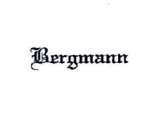 BERGMANN - 商标查询 - 注册号15747806 - 爱企查
