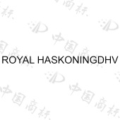 ROYAL HASKONINGDHV - 商标 - 爱企查