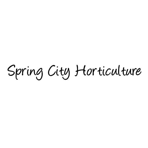 SPRING CITY HORTICULTURE - 商标 - 爱企查