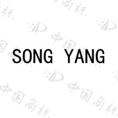 SONG YANG - 商标 - 爱企查