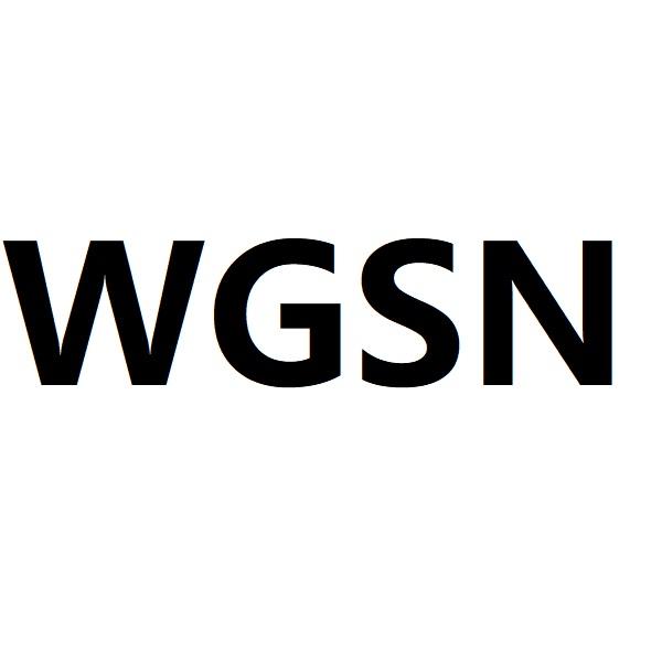 WGSN - 商标 - 爱企查