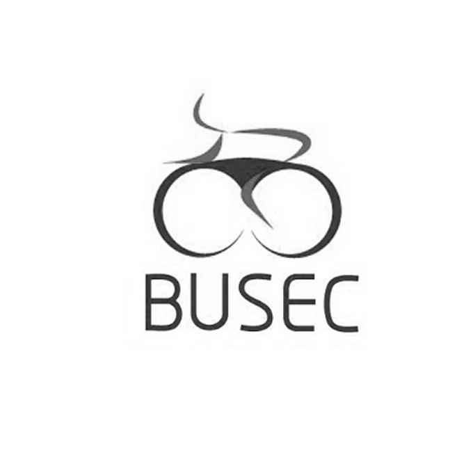 BUSEC - 商标 - 爱企查