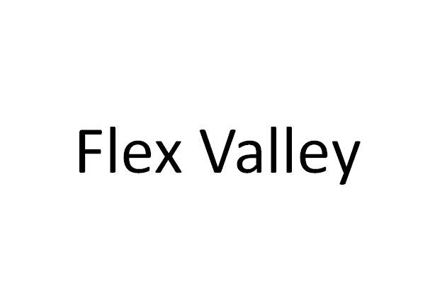 FLEX VALLEY - 商标 - 爱企查