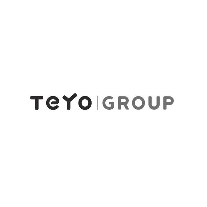 TEYO GROUP - 商标 - 爱企查