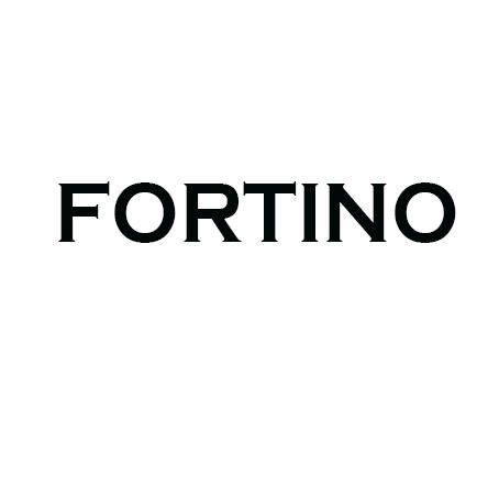 FORTINO - 商标 - 爱企查