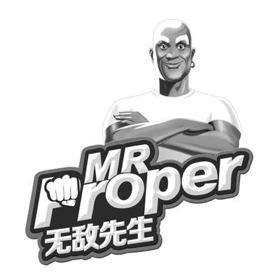 无敌先生 MR PROPER - 商标 - 爱企查