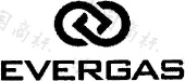 EVERGAS - 商标 - 爱企查