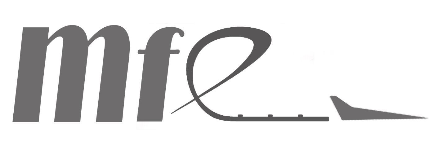 MFE - 商标查询 - 注册号32028824 - 爱企查