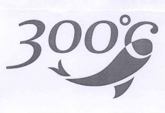 300°C - 商标 - 爱企查