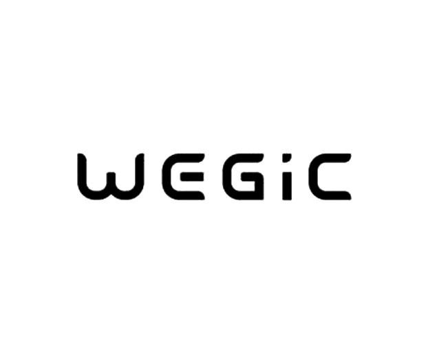 WEGIC - 商标查询 - 注册号79334983 - 爱企查