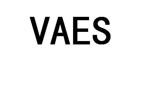 VAES - 商标查询 - 注册号25751248 - 爱企查