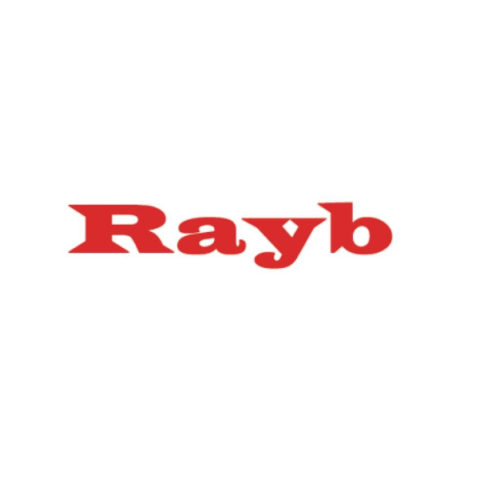 RAYB - 商标查询 - 注册号36386412 - 爱企查