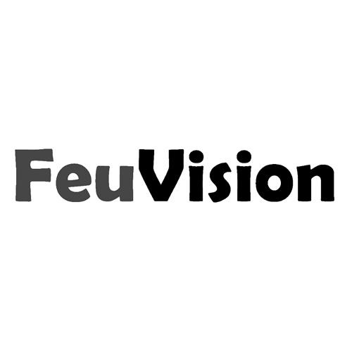 FEUVISION - 商标查询 - 注册号48080328 - 爱企查