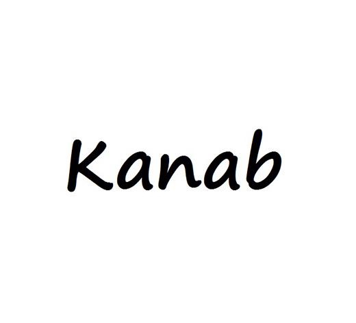 KANAB - 商标查询 - 注册号22100419 - 爱企查