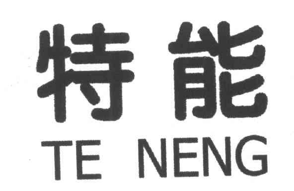 特能;TE NENG - 商标查询 - 注册号4013787 - 爱企查