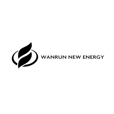 WANRUN NEW ENERGY - 商标 - 爱企查