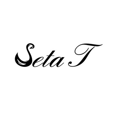 SETA T - 商标 - 爱企查