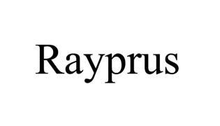 RAYPRUS - 商标查询 - 注册号53358208 - 爱企查