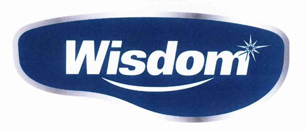 WISDOM - 商标查询 - 注册号8906955 - 爱企查