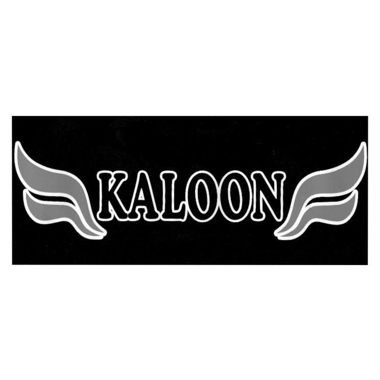KALOON - 商标查询 - 注册号13626924 - 爱企查