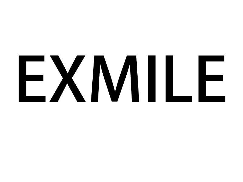 EXMILE - 商标 - 爱企查