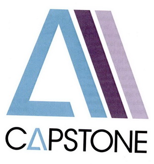 capstone-千图网
