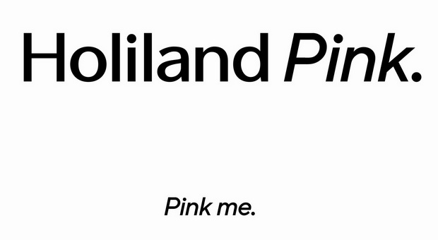 HOLILAND PINK. PINK ME. - 商标 - 爱企查