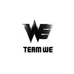 TEAM WE WE - 商标 - 爱企查