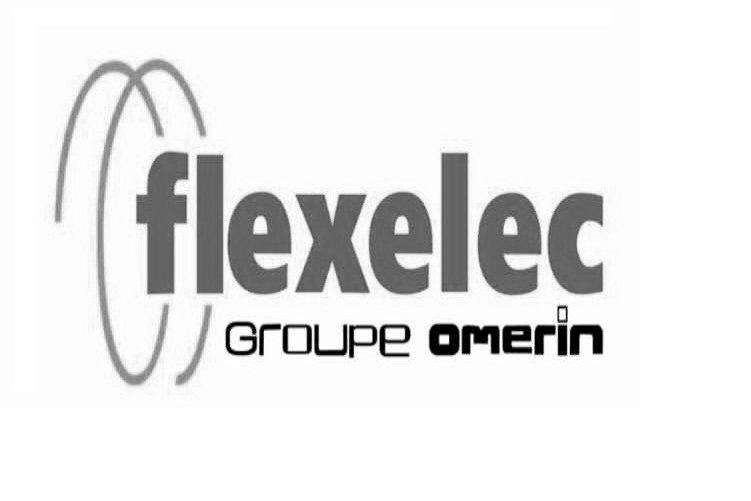 FLEXELEC GROUPE OMERIN - 商标 - 爱企查
