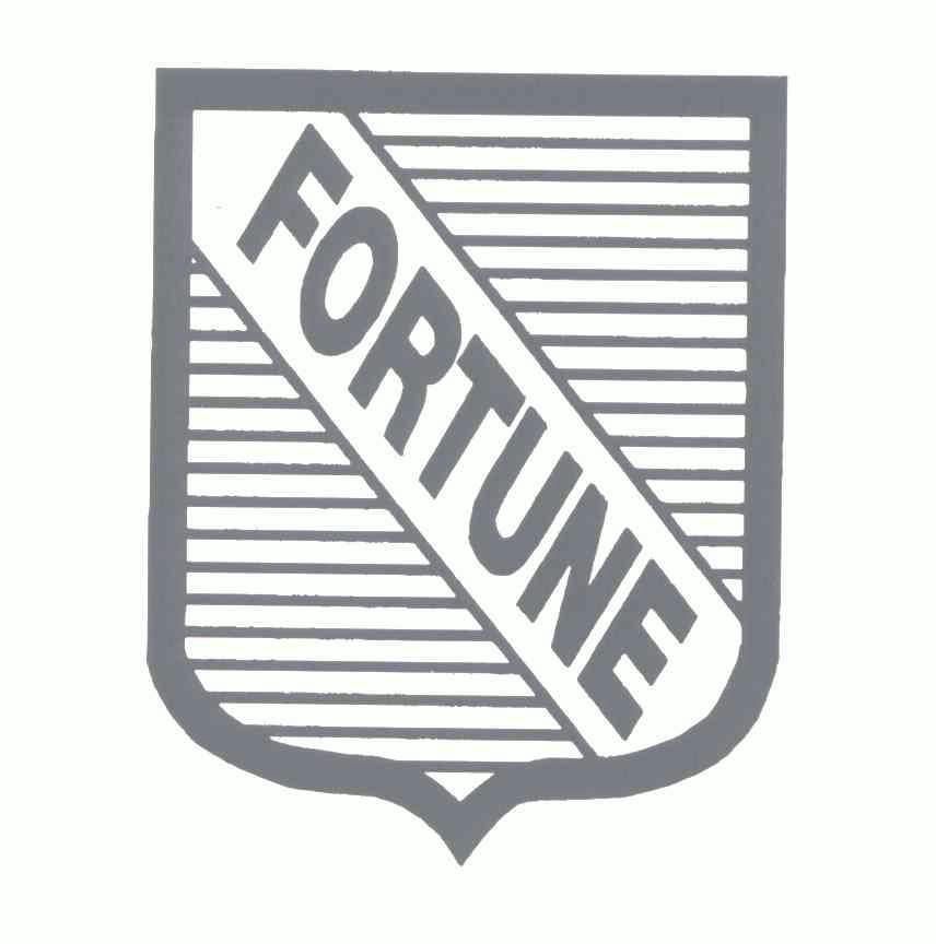 FORTUNE - 商标 - 爱企查