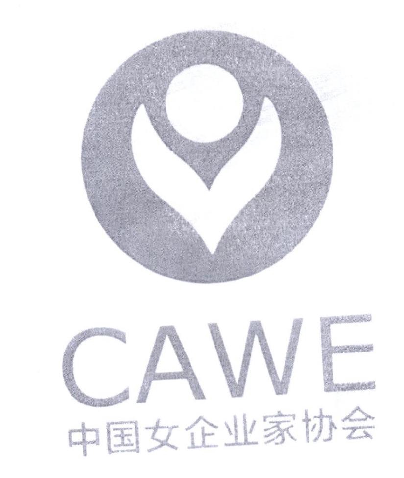 中国女企业家协会 CAWE - 商标查询 - 注册号22229371 - 爱企查