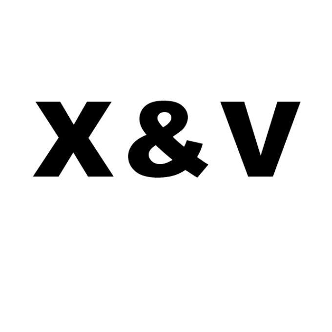 X&V - 商标 - 爱企查