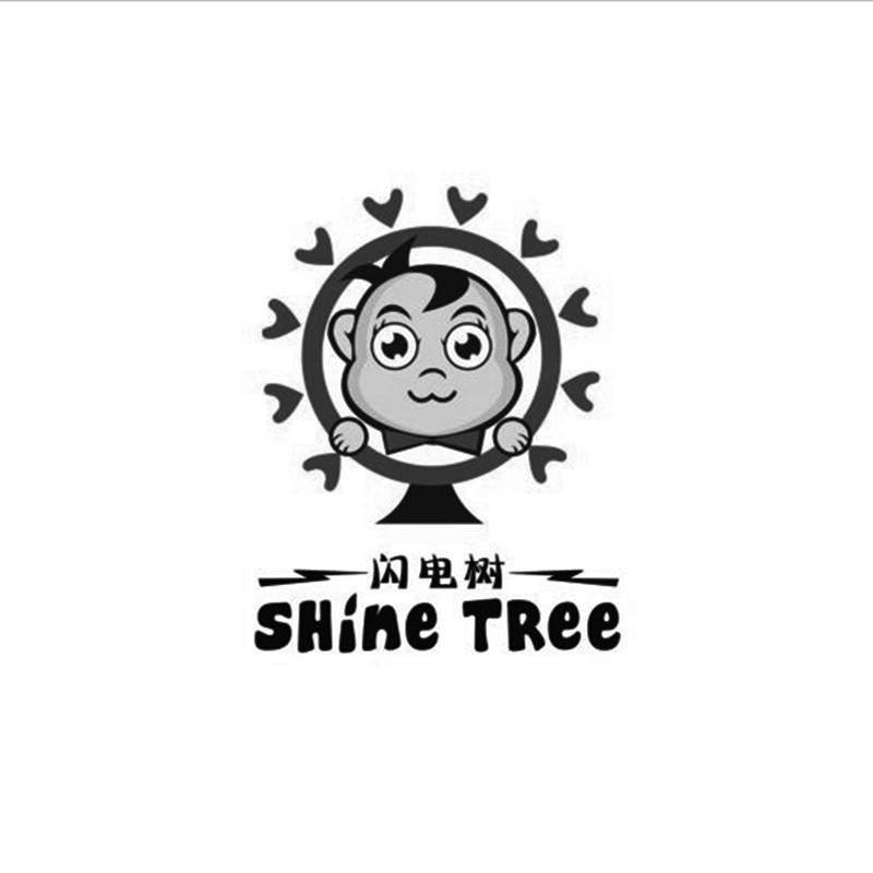 闪电树 SHINETREE - 商标查询 - 注册号20213903 - 爱企查