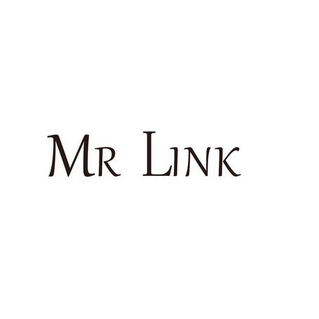 MR LINK - 商标 - 爱企查