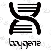 BAYGENE - 商标 - 爱企查