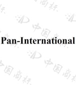 PAN-INTERNATIONAL - 商标 - 爱企查