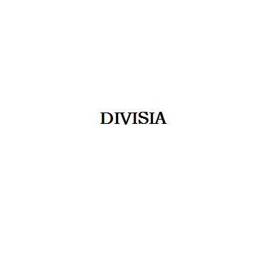 DIVISIA - 商标查询 - 注册号21959932 - 爱企查