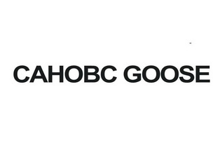 CAHOBC GOOSE - 商标 - 爱企查
