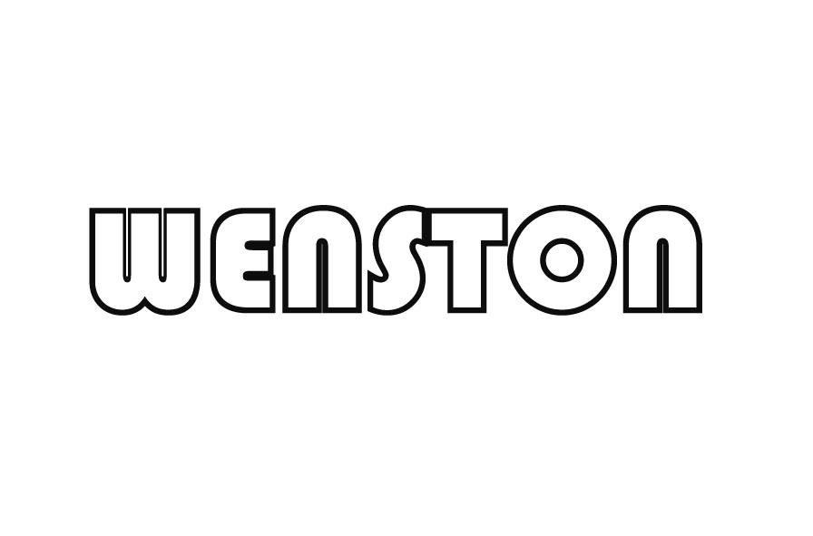 WENSTON - 商标查询 - 注册号25245455 - 爱企查