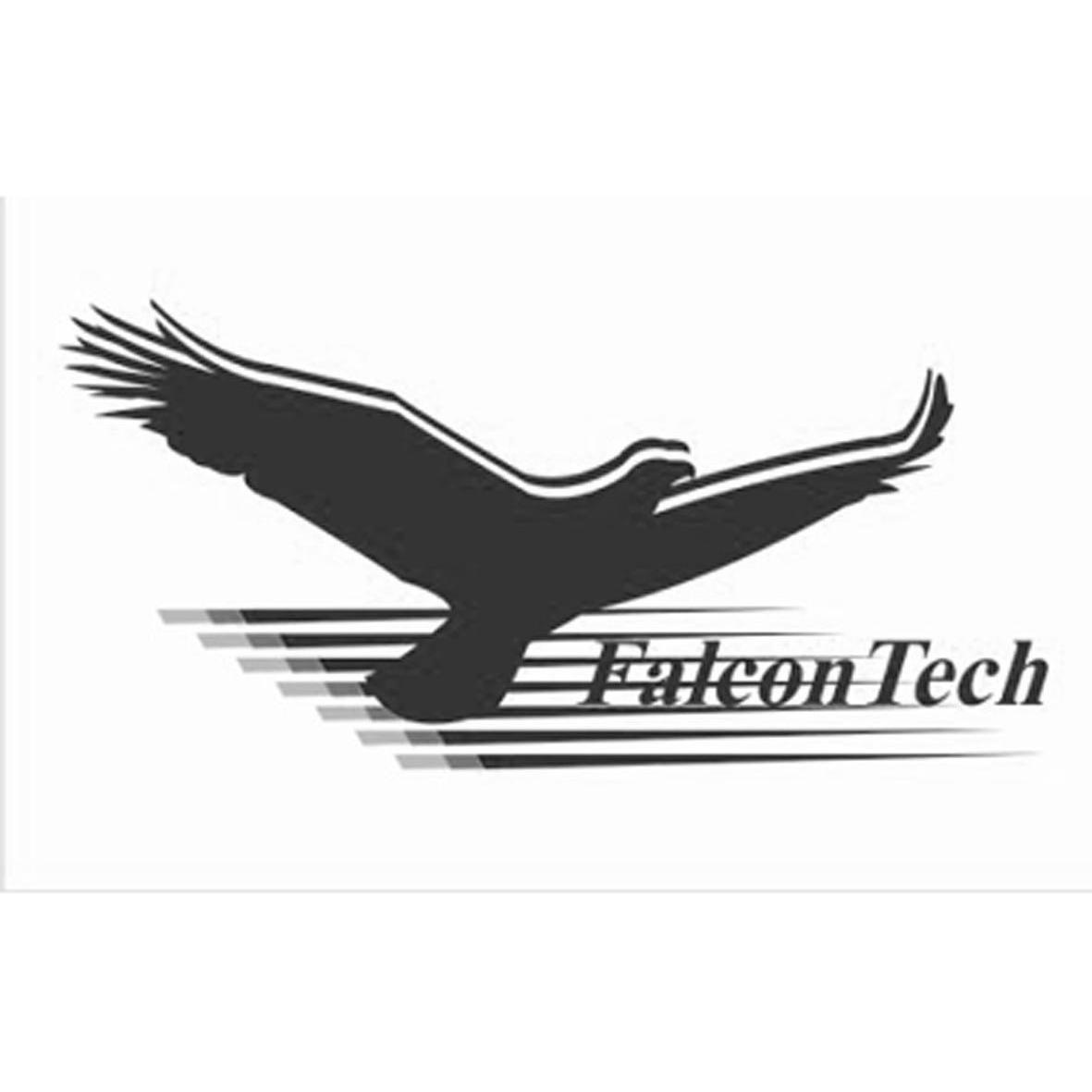 FALCON TECH - 商标 - 爱企查