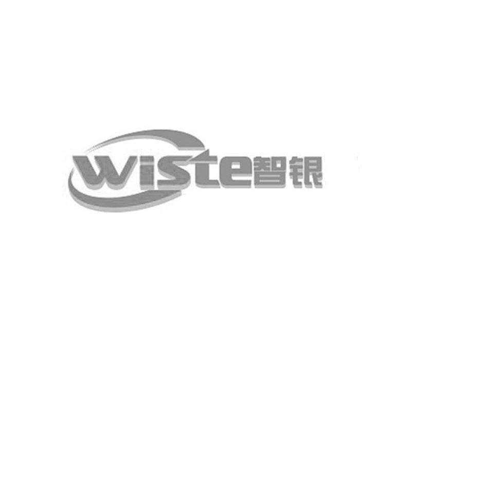 智银 WISTE - 商标 - 爱企查